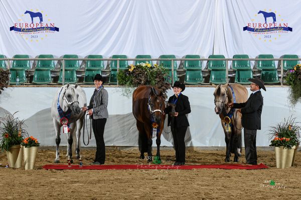 3rd day ot the show | European Championship of American Quarter Horses 2025